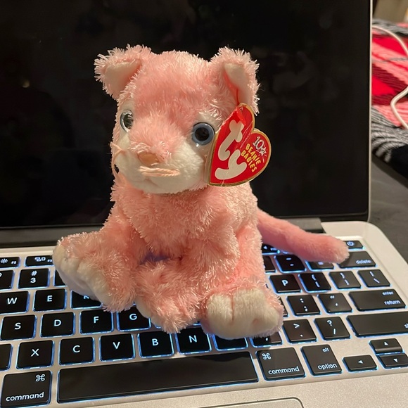 Ty | Toys | 202 Carnation Pink Cat Beanie Baby | Poshmark